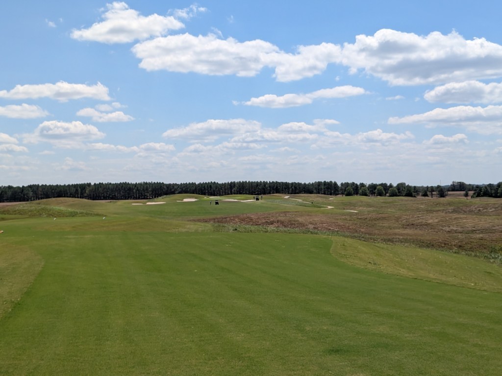 Course Review: RTJ Golf Trail @ The Shoals – Fighting Joe – First 1000 ...