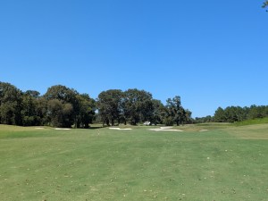 Course Review: RTJ Golf Trail @ The Shoals – Fighting Joe – First 1000 ...